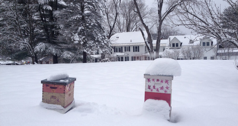 Golden Stage Inn Bed and Breakfast: Sitemap